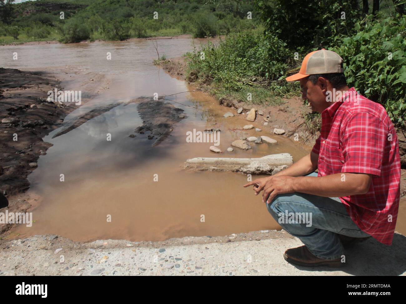 Image taken on Aug. 20, 2014, shows a farmer pointing traces of toxic ...