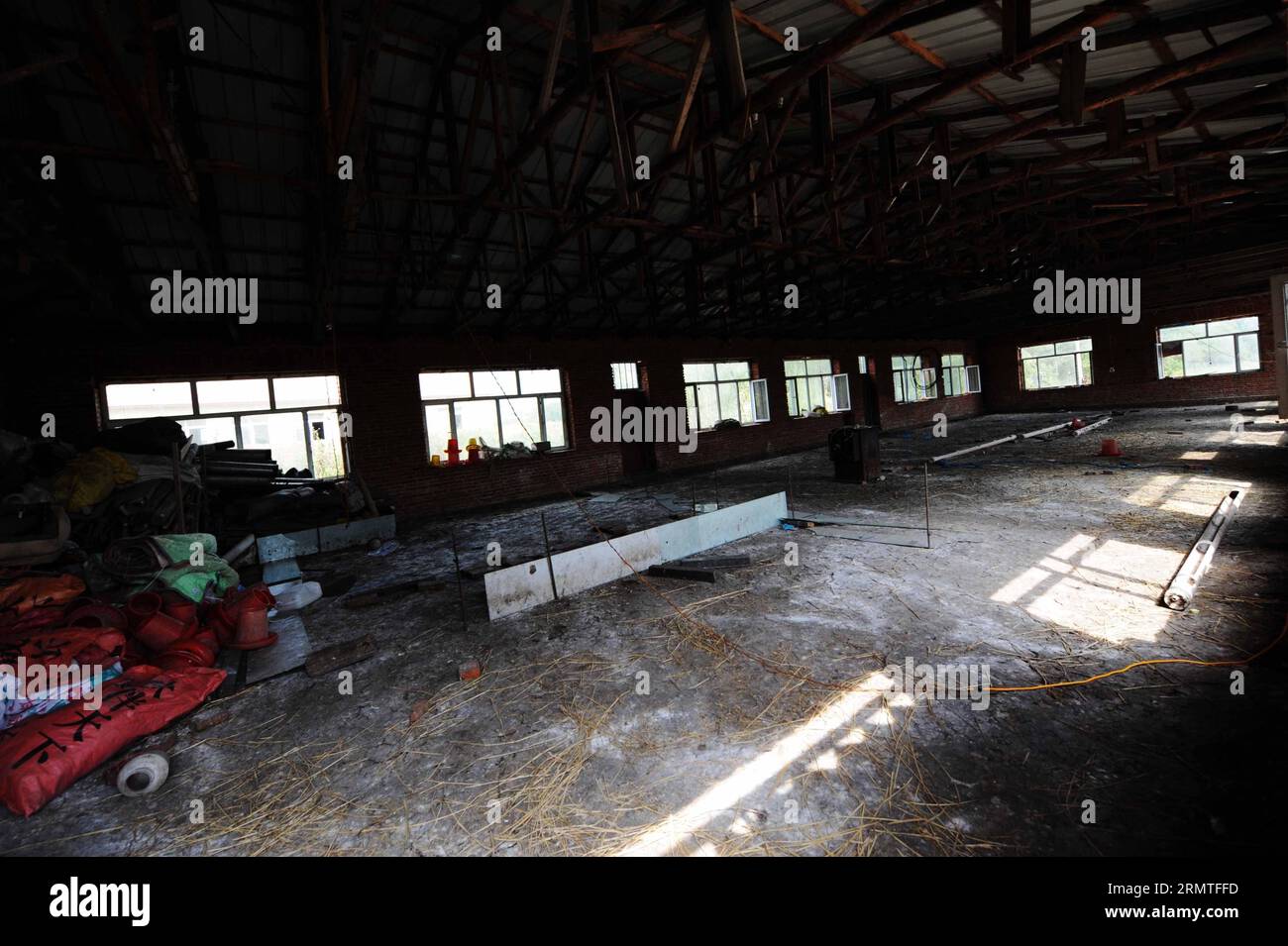 Harbin a bird hi-res stock photography and images - Alamy
