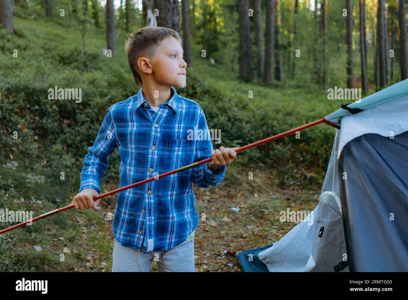 cute caucasian boy putting up a tent. Family camping conceptsunset shadows from trees. Family ...