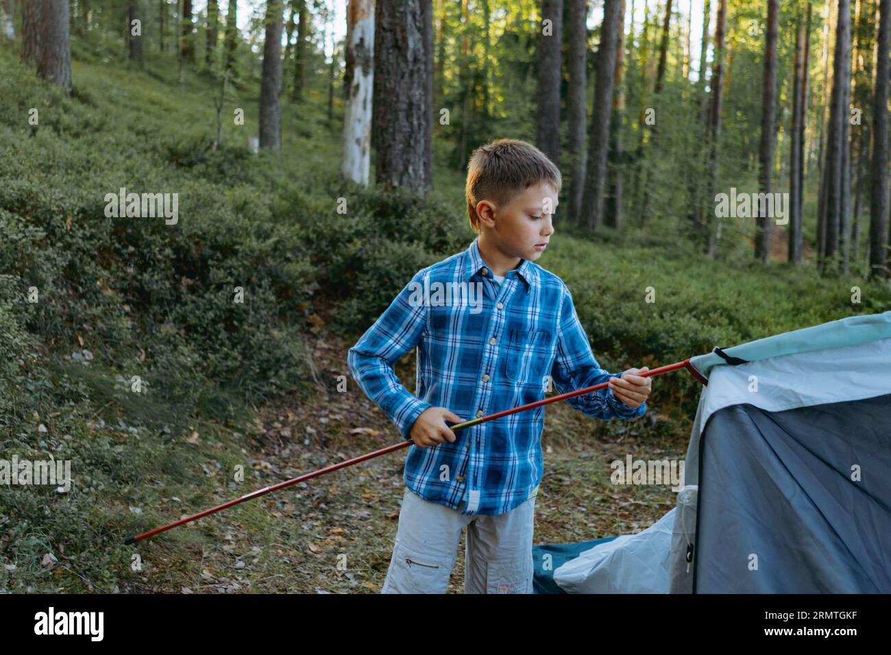 cute caucasian boy putting up a tent. Family camping conceptsunset shadows from trees. Family ...