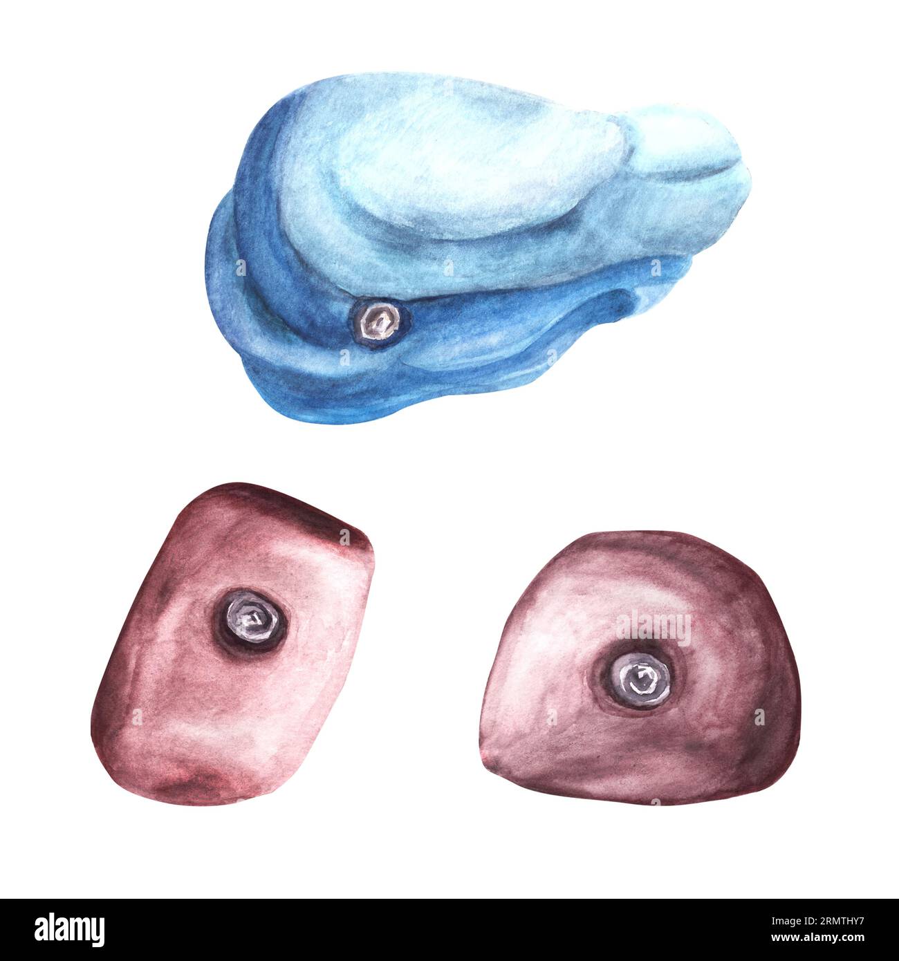 Boulder coloured stones set. Holds for rock climbing on a wall in the ...