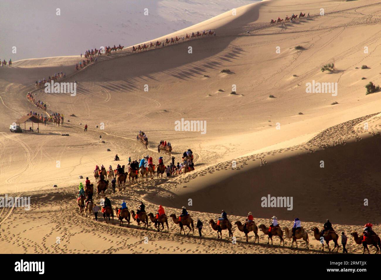 (140907) -- JIUQUAN, Sept. 7, 2014 -- Tourists ride camels to view the ...