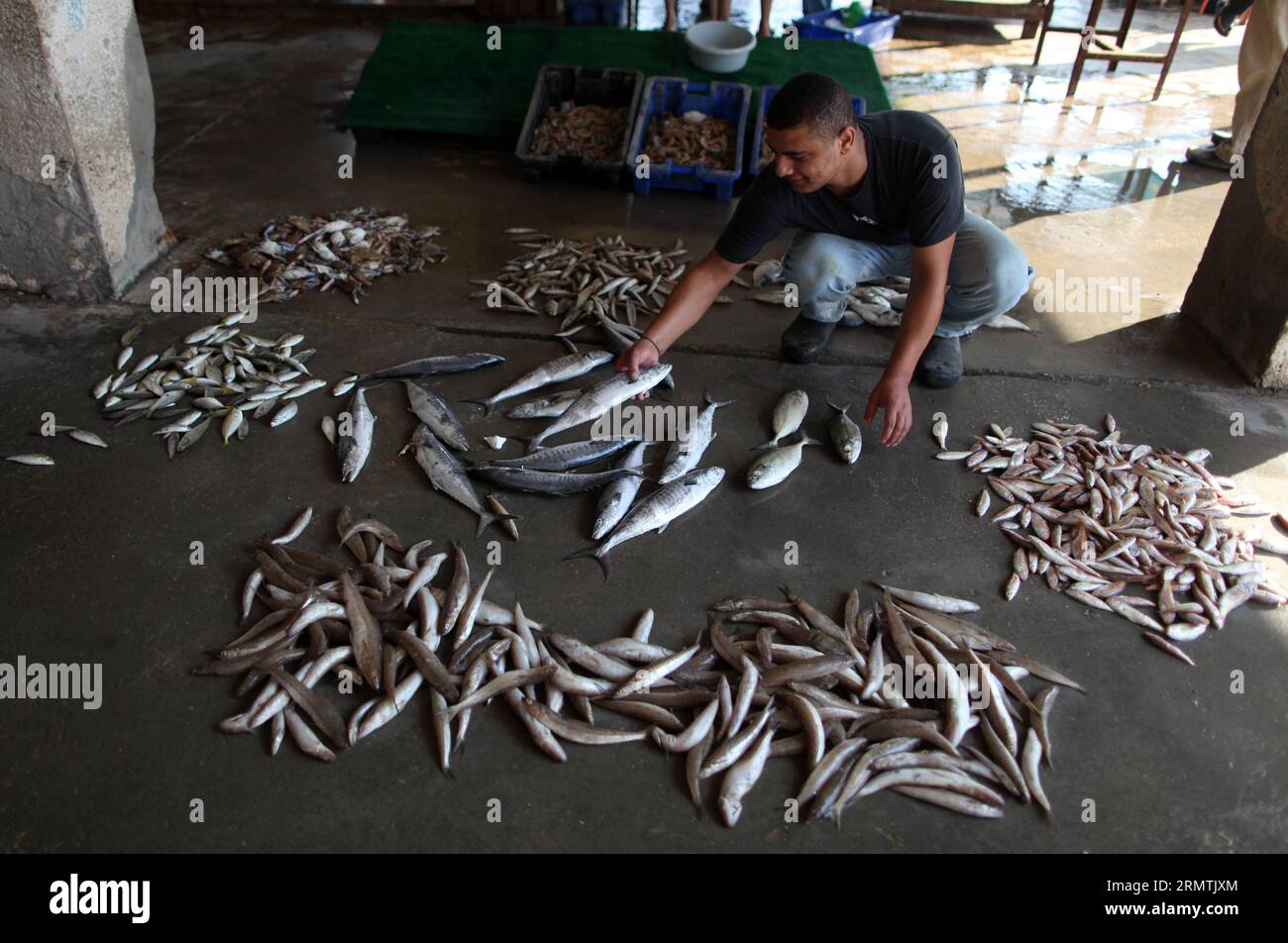 Hamas gaza everyday hi-res stock photography and images - Alamy