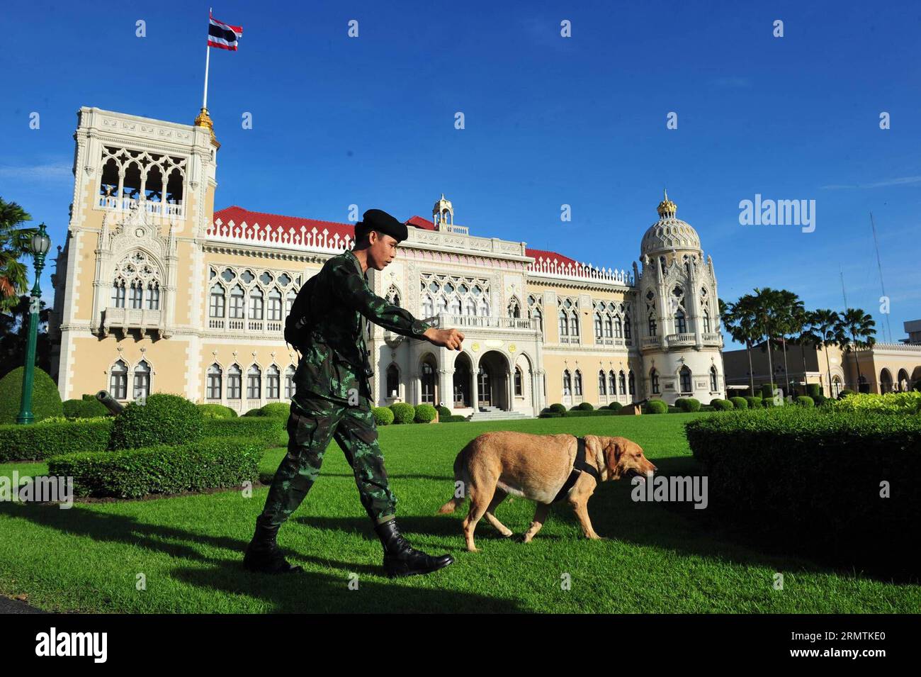 Prime ministers dog hi-res stock photography and images - Alamy