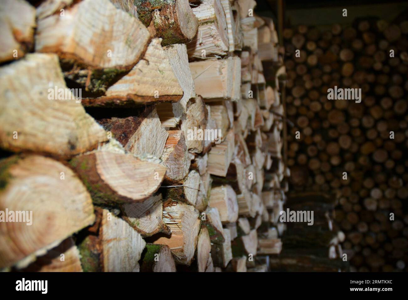 Stacked cord wood hi-res stock photography and images - Alamy