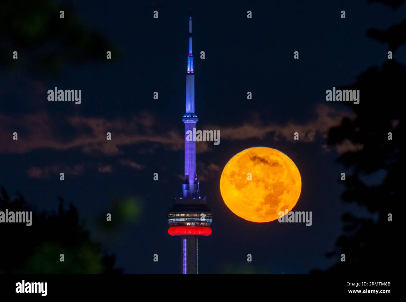 The August Super Blue Moon sets behind the CN tower in Toronto on ...