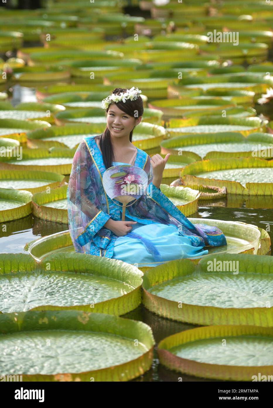 Victoria genus water lilies large hi-res stock photography and images ...