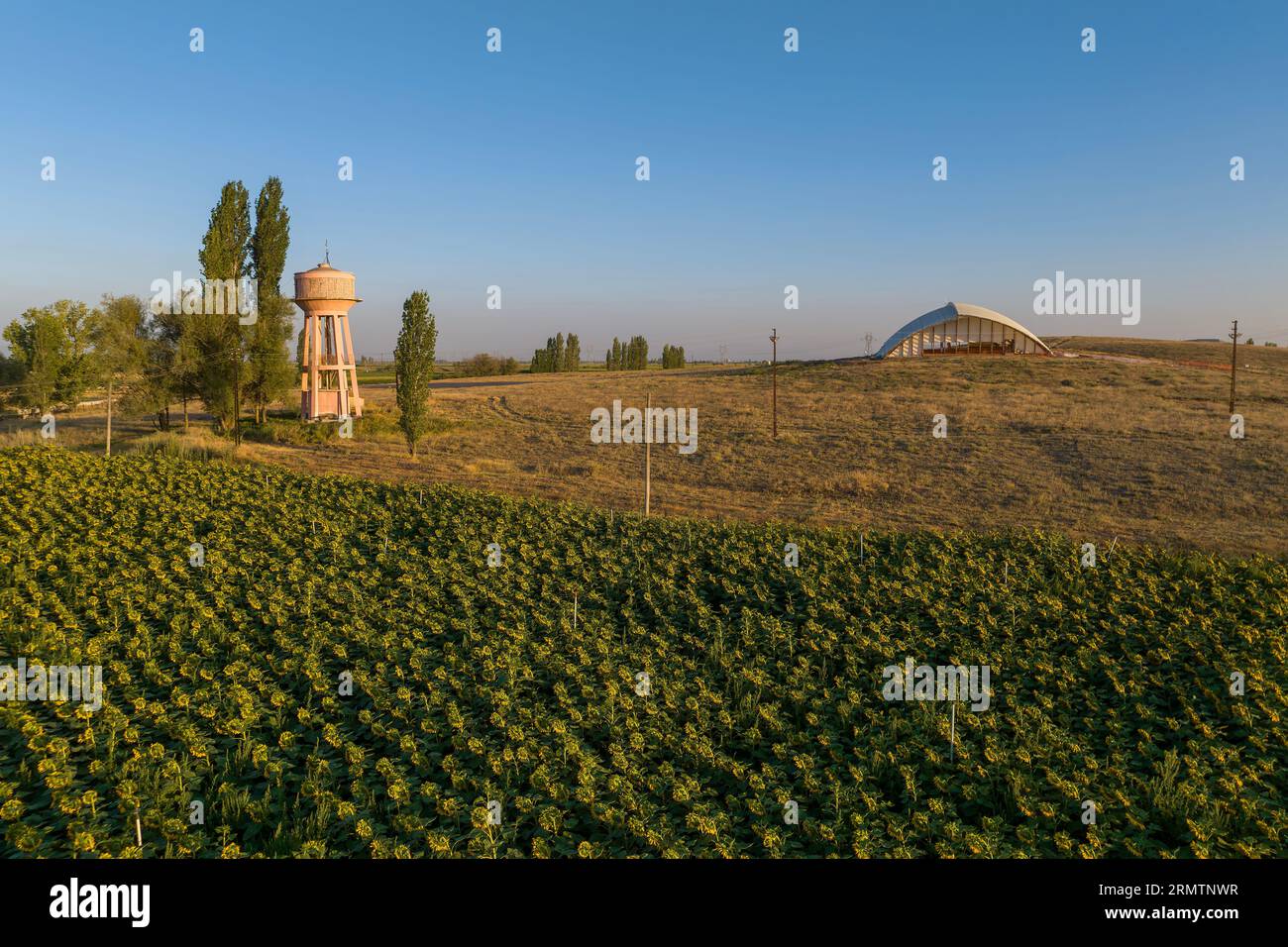 Catalhoyuk is oldest town in world with large Neolithic and ...
