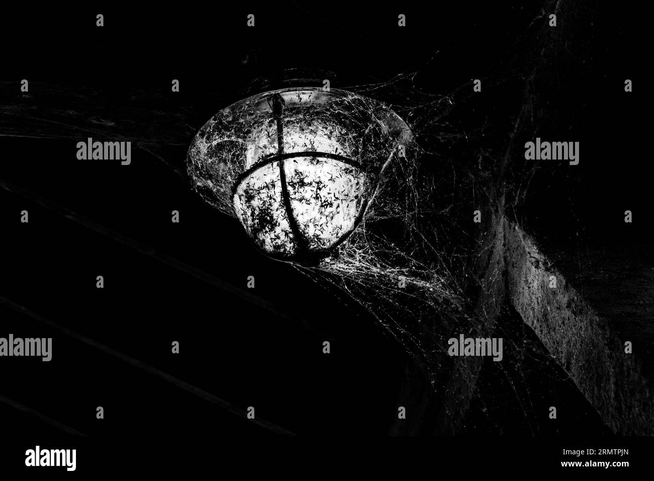 Glow flies Black and White Stock Photos & Images - Alamy