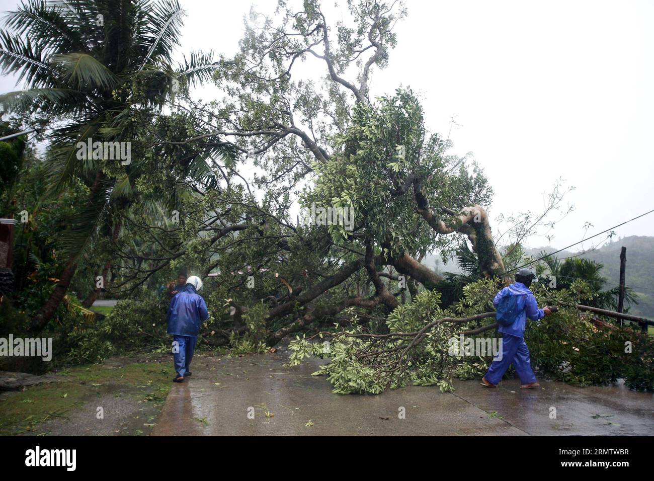 Norte typhoon fung wong hi-res stock photography and images - Alamy