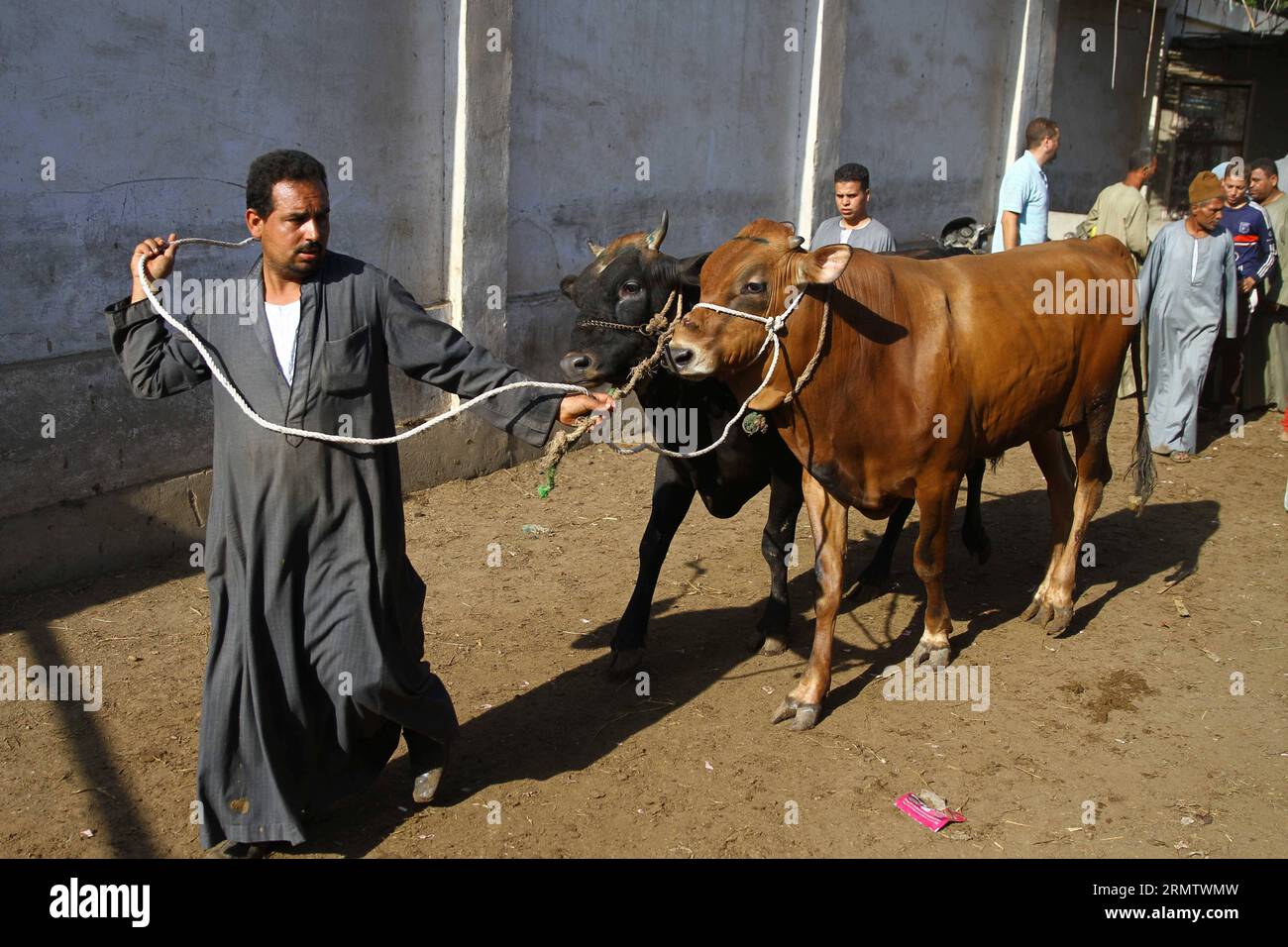 Monofya hi-res stock photography and images - Alamy