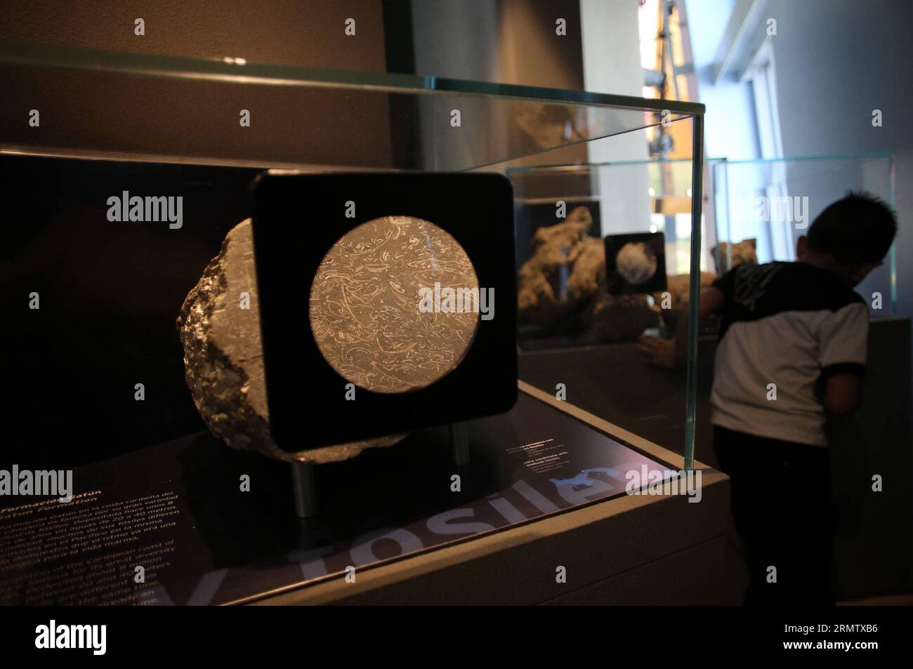 (140922) -- PANAMA CITY, -- A boy watches the objects exhibited in the ...