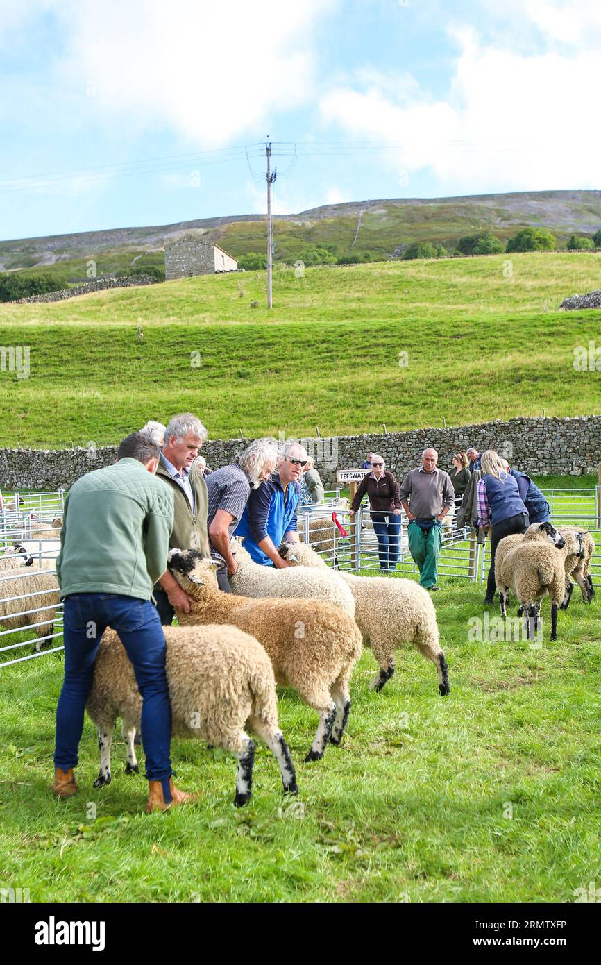 Reeth Show 2023, North Yorkshire Stock Photo - Alamy