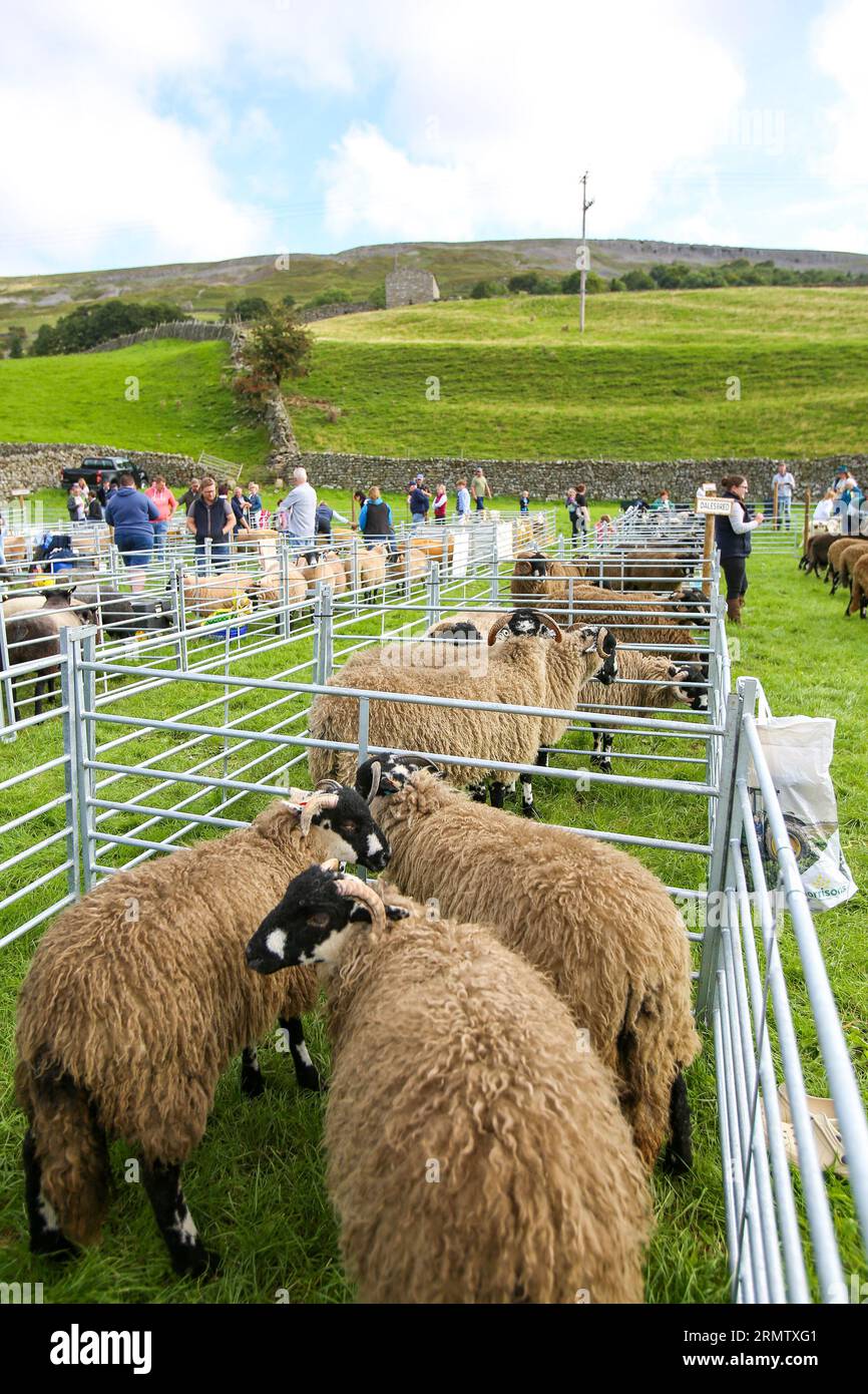 Reeth show hi-res stock photography and images - Alamy