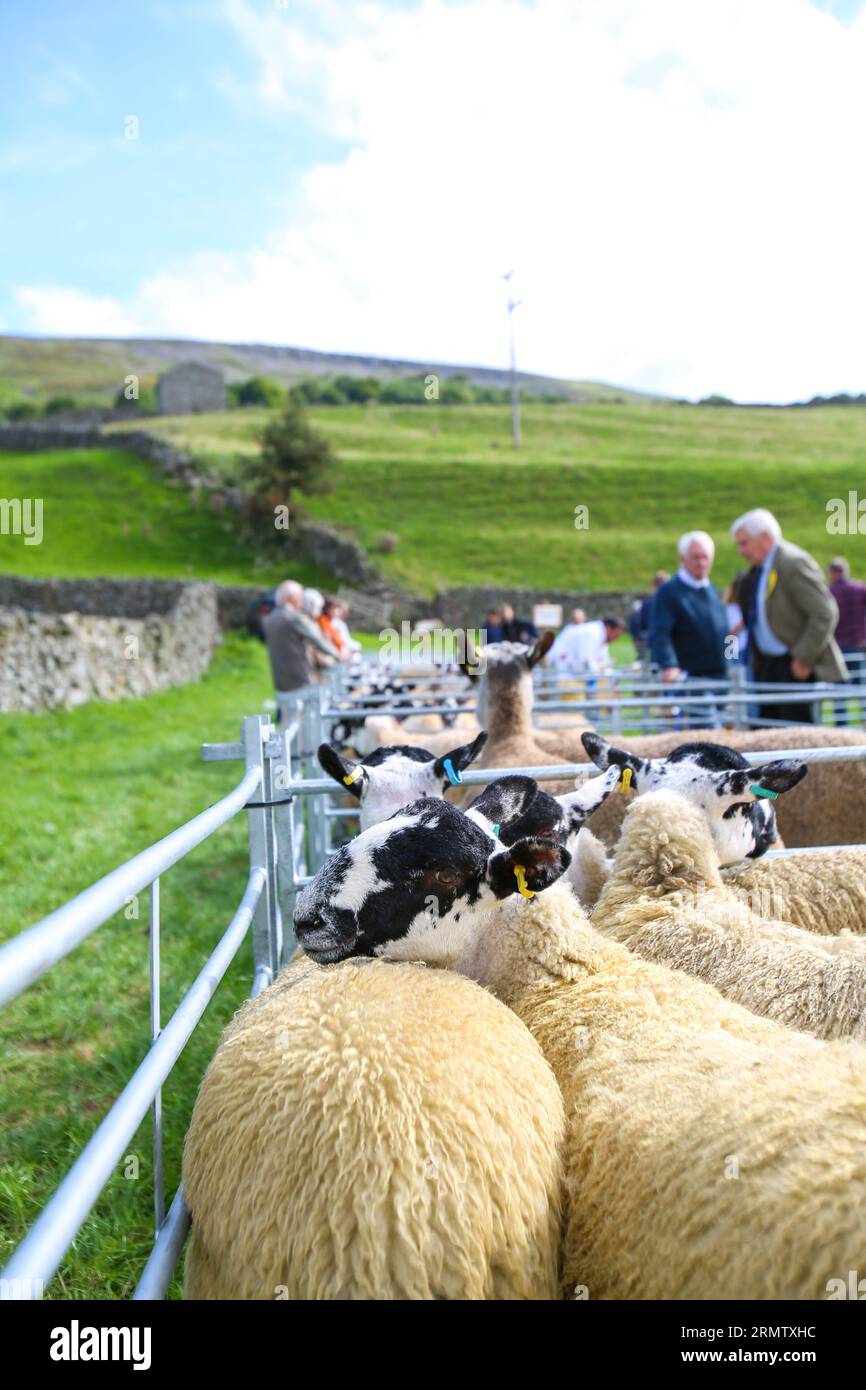 Reeth Show 2023, North Yorkshire Stock Photo - Alamy