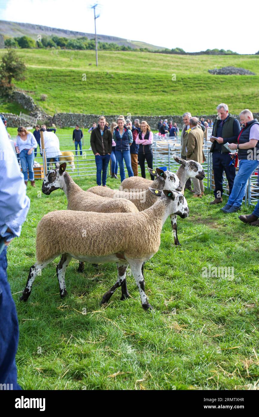 Reeth Show 2023, North Yorkshire Stock Photo - Alamy