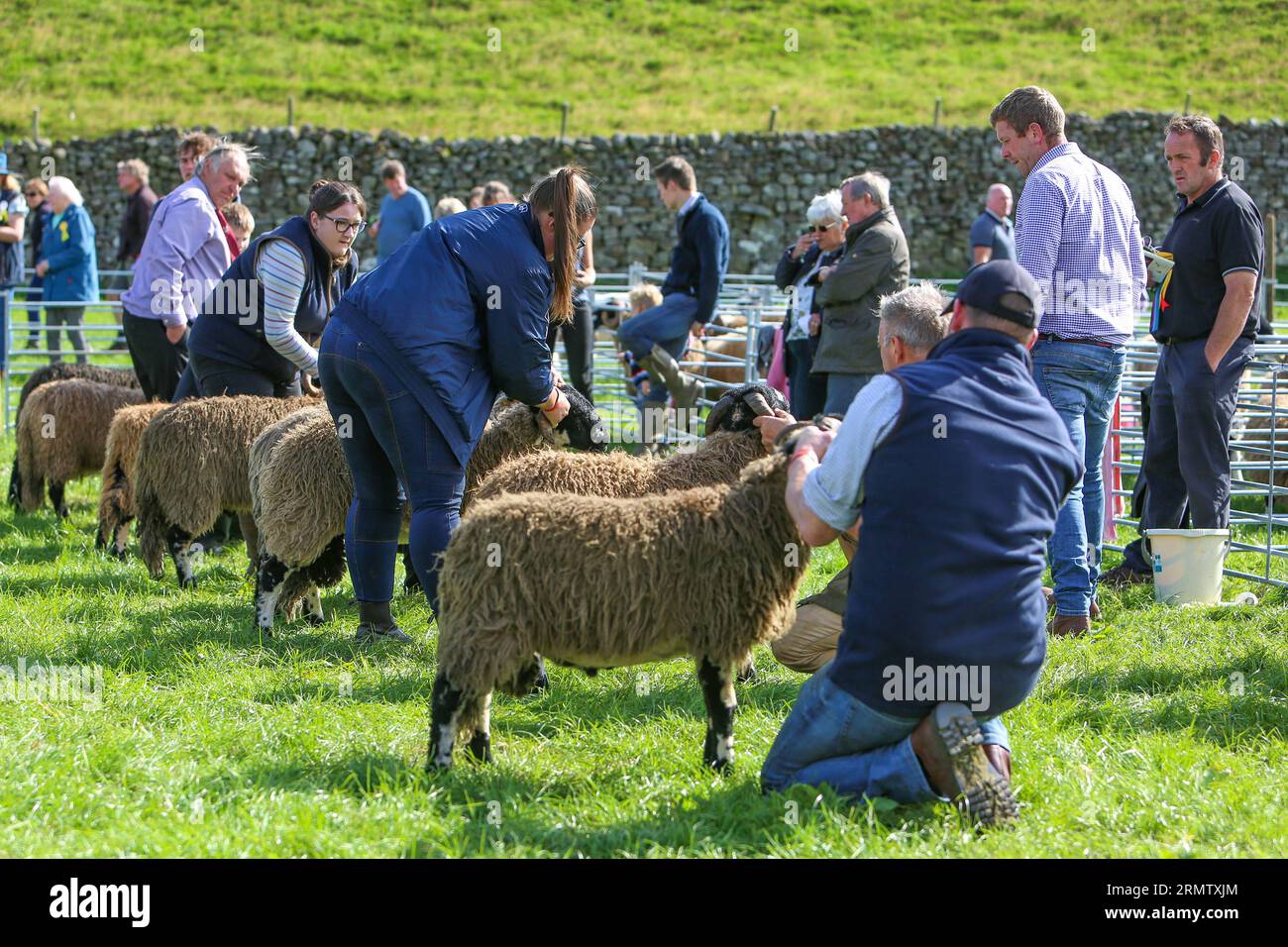 Reeth Show 2023, North Yorkshire Stock Photo - Alamy