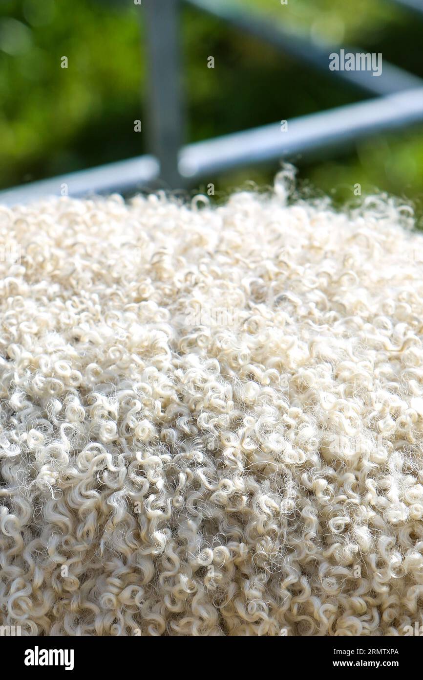 Reeth Show 2023, North Yorkshire Stock Photo - Alamy