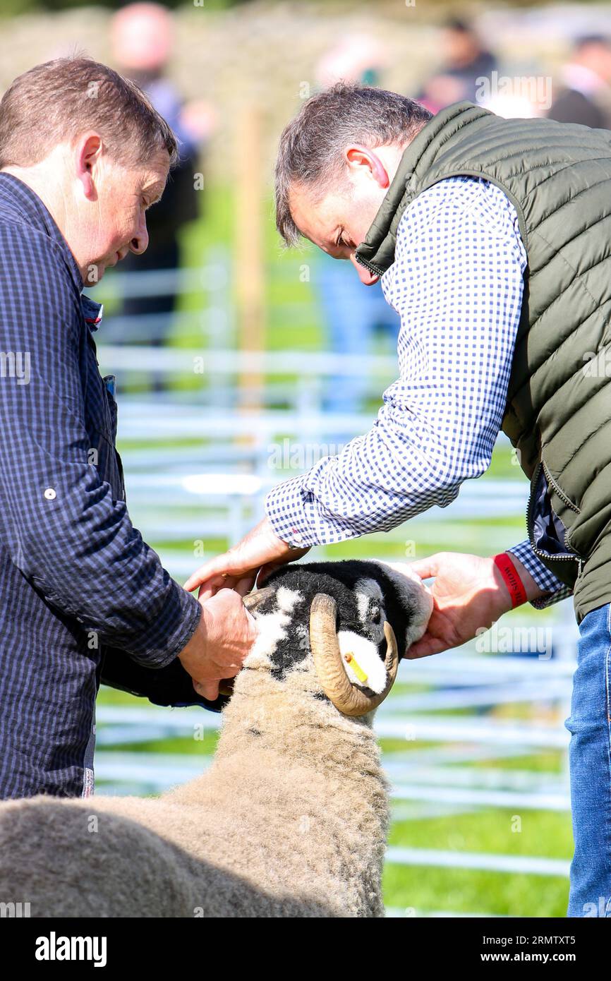 Reeth show hi-res stock photography and images - Alamy