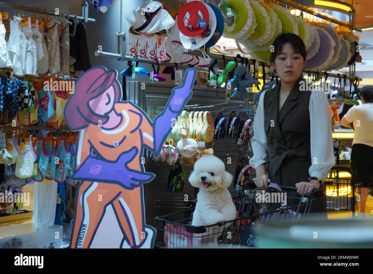 Gen zhang hi-res stock photography and images - Alamy