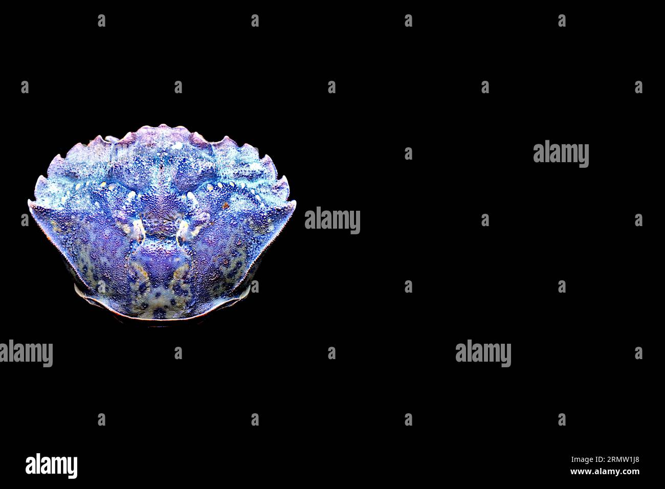 Saturated color hi-res stock photography and images - Alamy