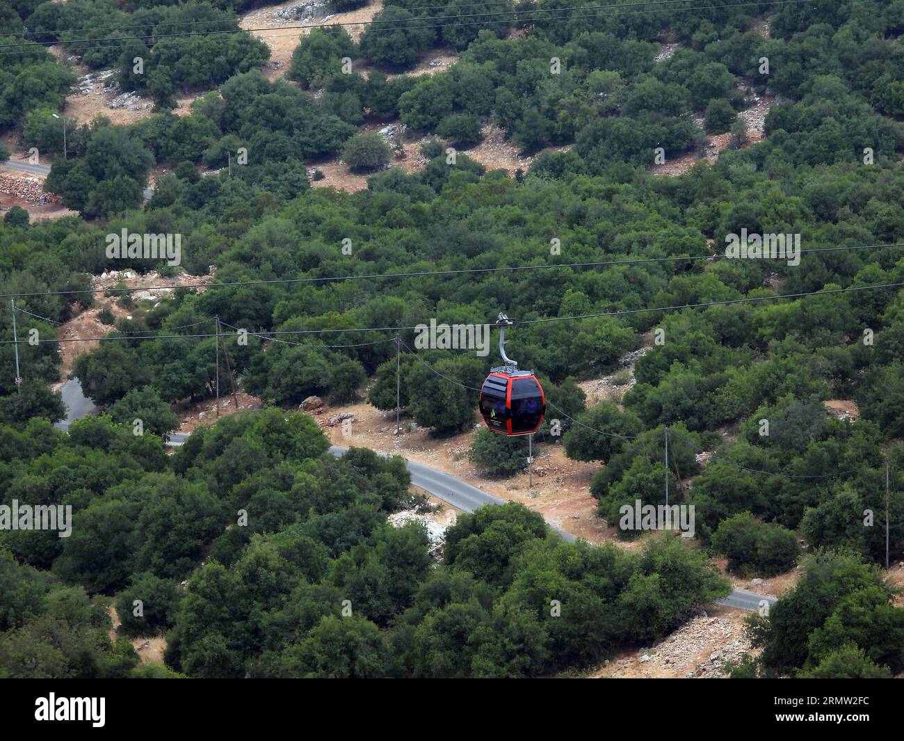 A journey in the green forests of Ajloun in Jordan, from inside the ...