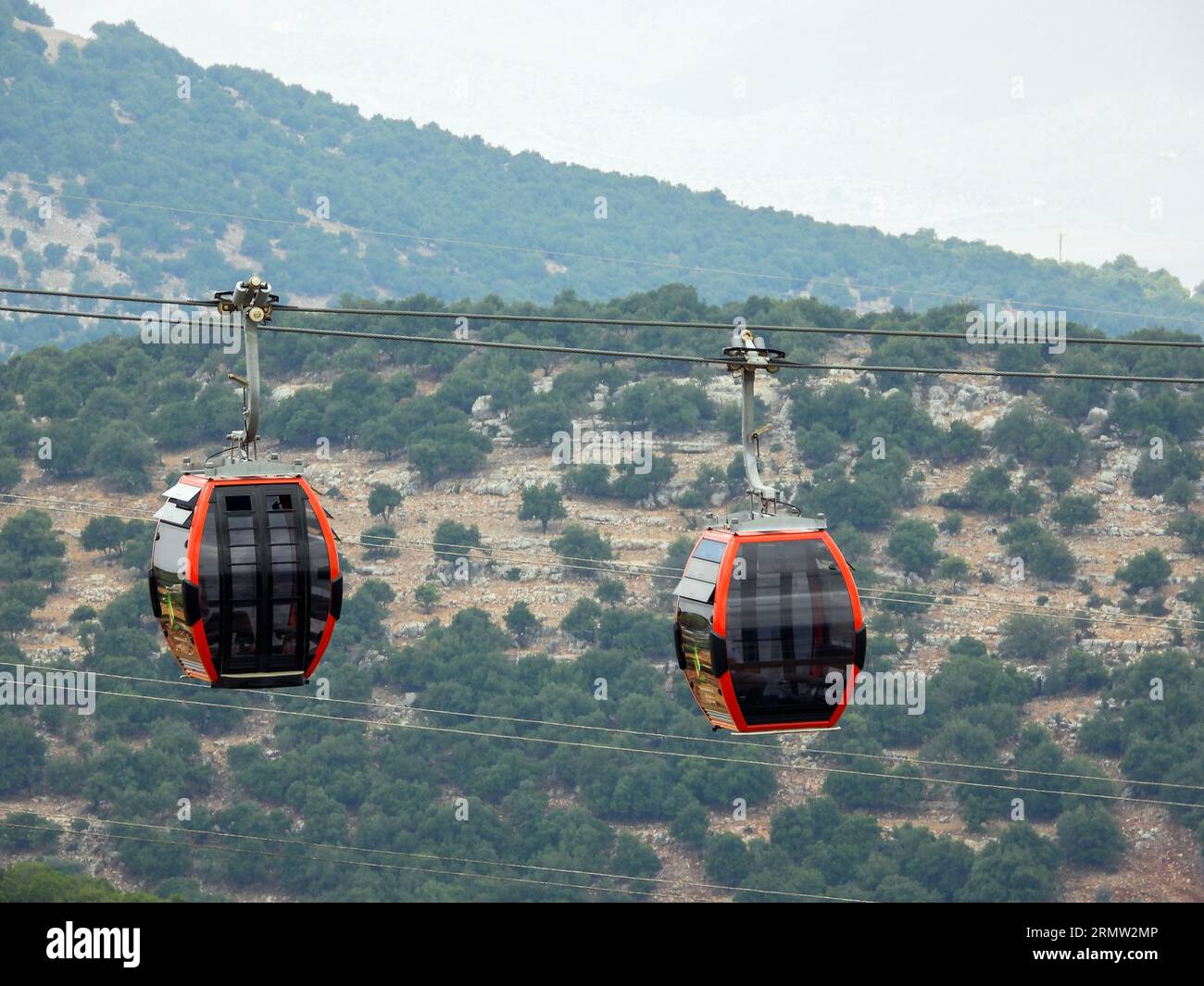 A journey in the green forests of Ajloun in Jordan, from inside the ...