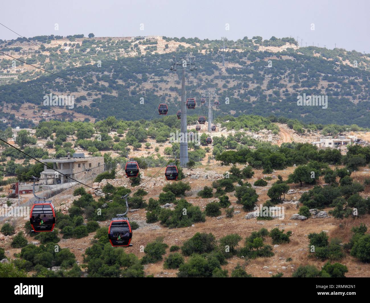 A journey in the green forests of Ajloun in Jordan, from inside the ...