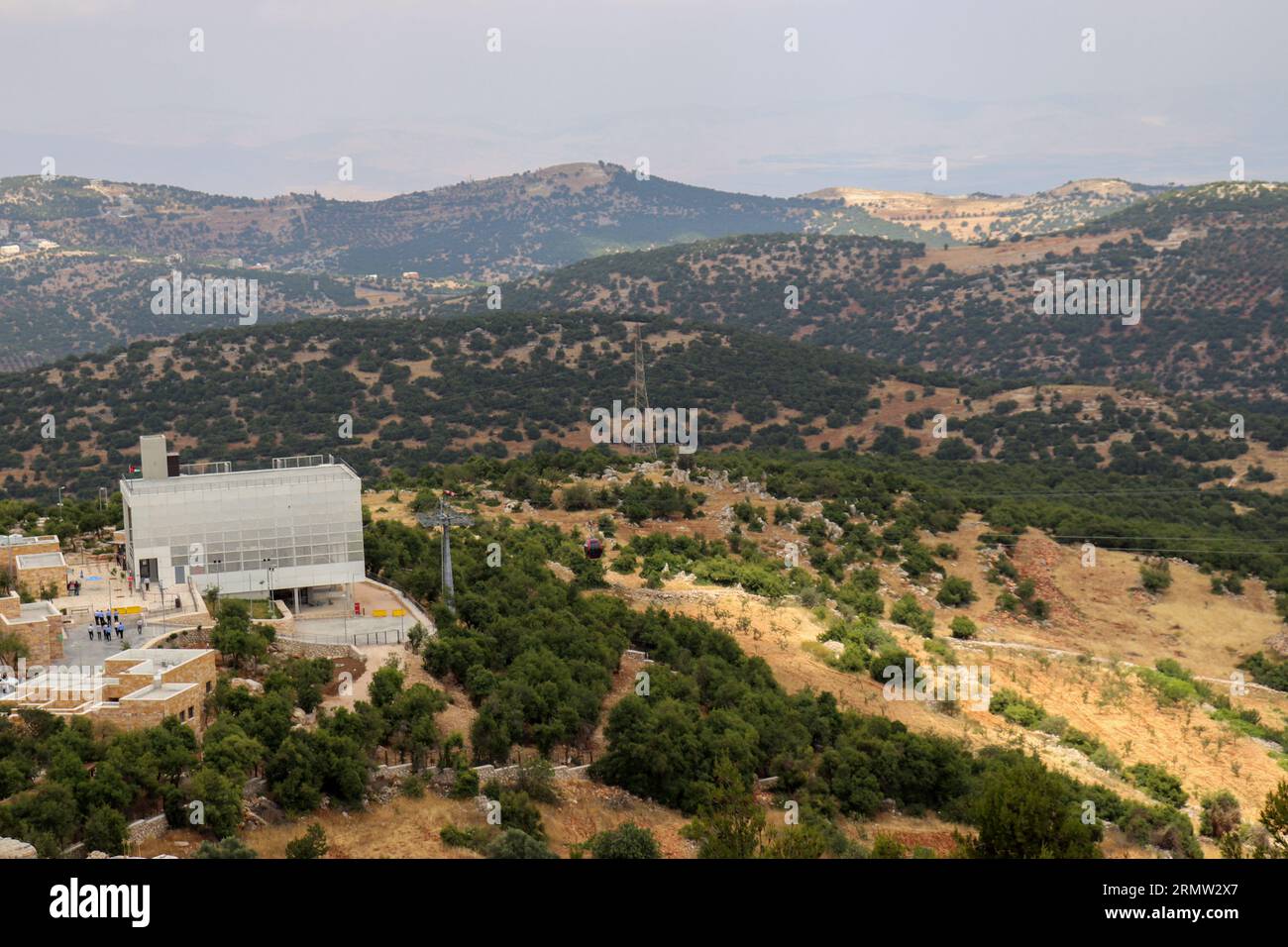 A journey in the green forests of Ajloun in Jordan, from inside the ...