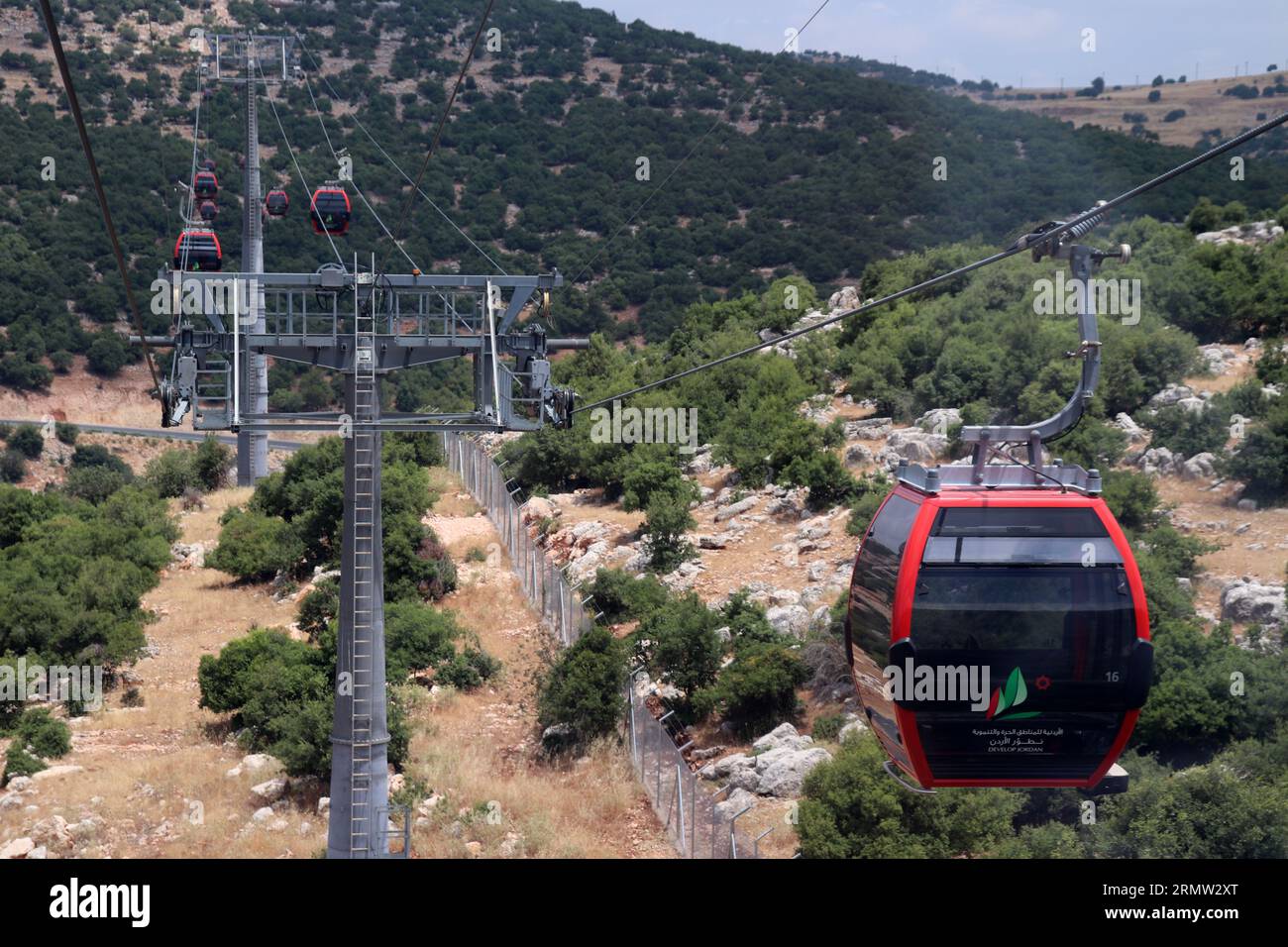 A journey in the green forests of Ajloun in Jordan, from inside the ...