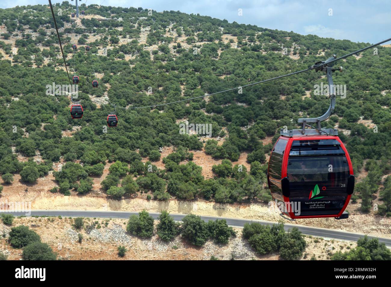 A journey in the green forests of Ajloun in Jordan, from inside the ...