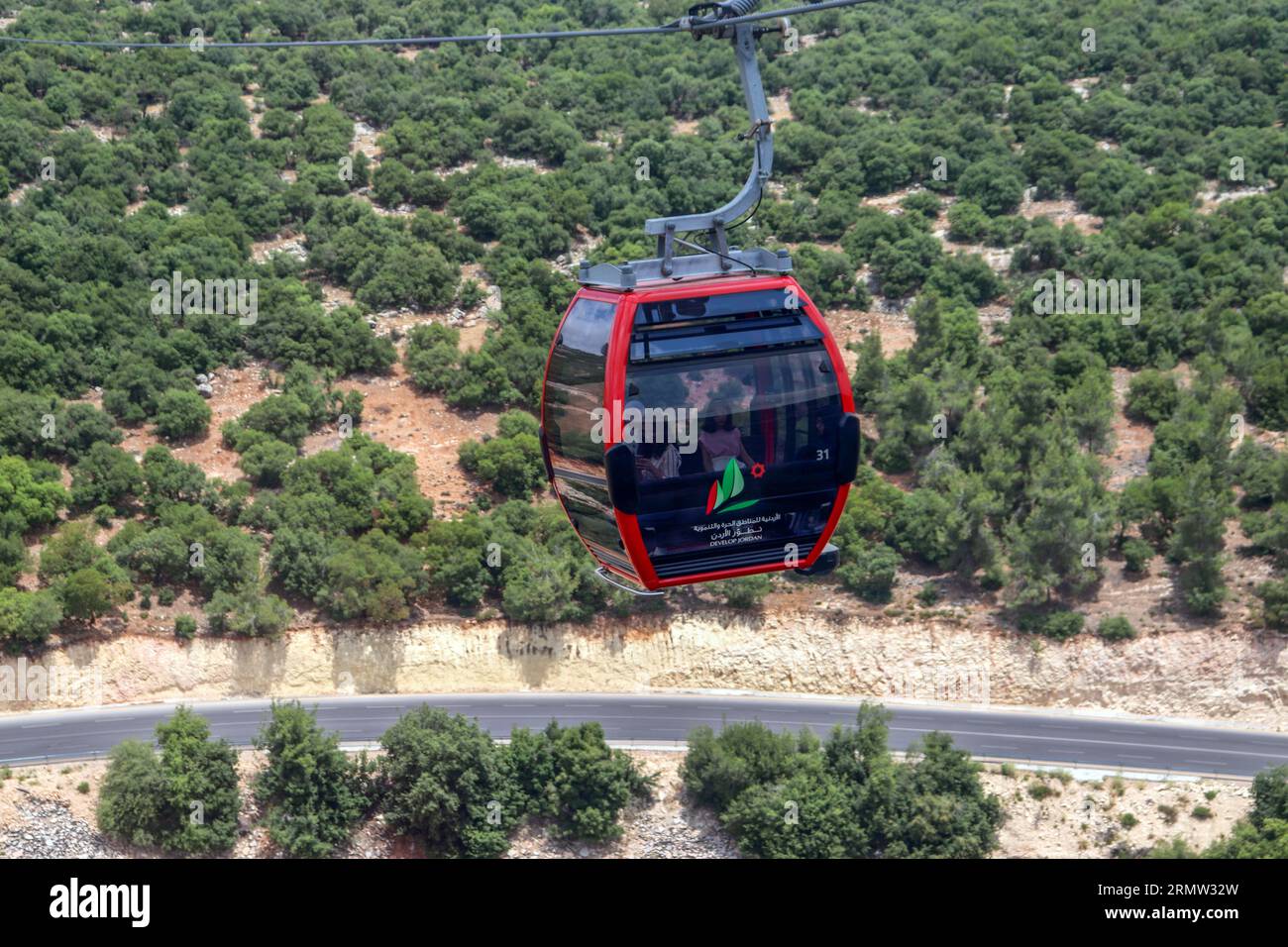 A journey in the green forests of Ajloun in Jordan, from inside the ...