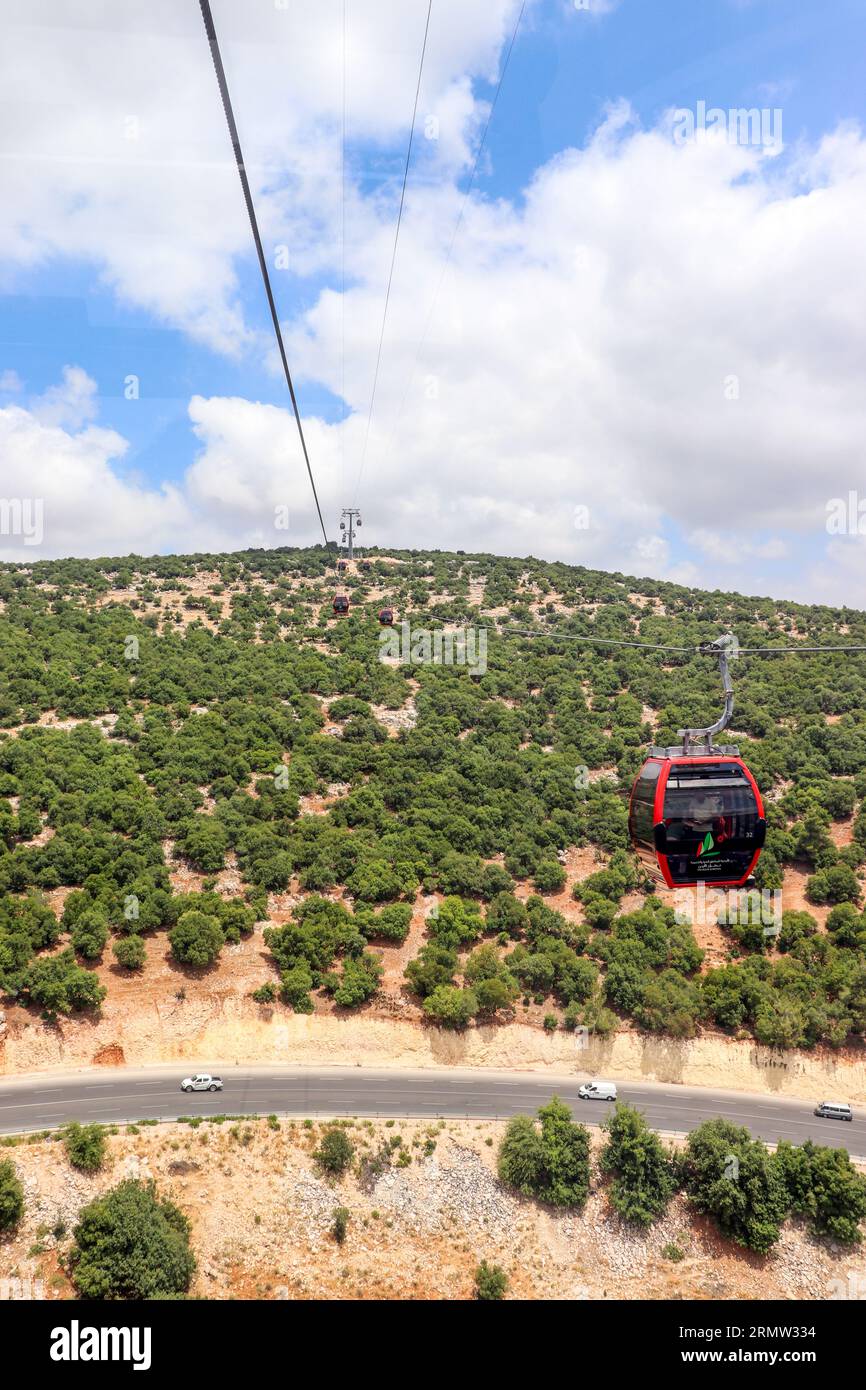 A journey in the green forests of Ajloun in Jordan, from inside the ...