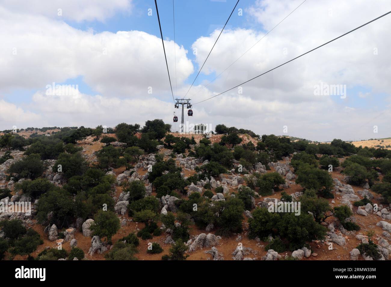 A journey in the green forests of Ajloun in Jordan, from inside the ...