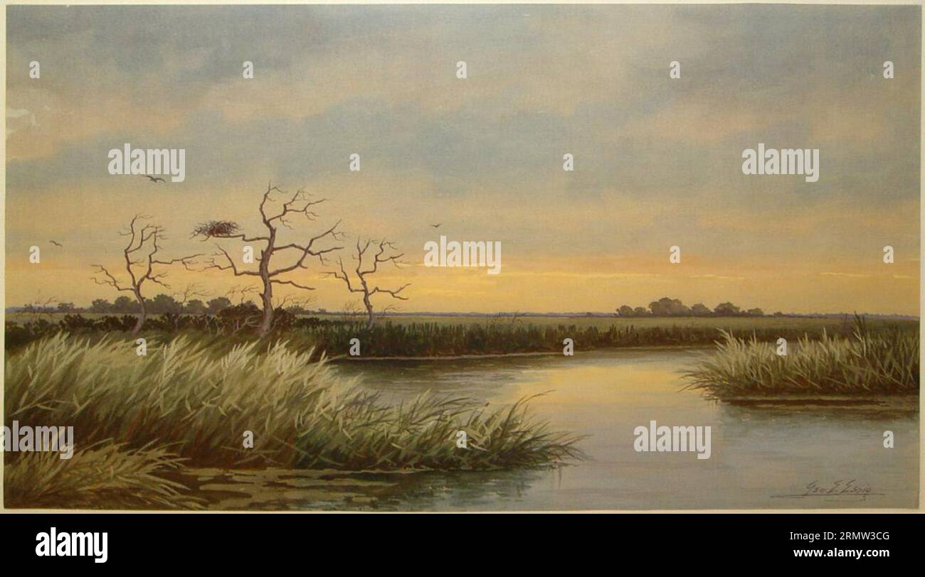 Jersey Marshes, South New Jersey by George Emerick Essig Stock Photo ...