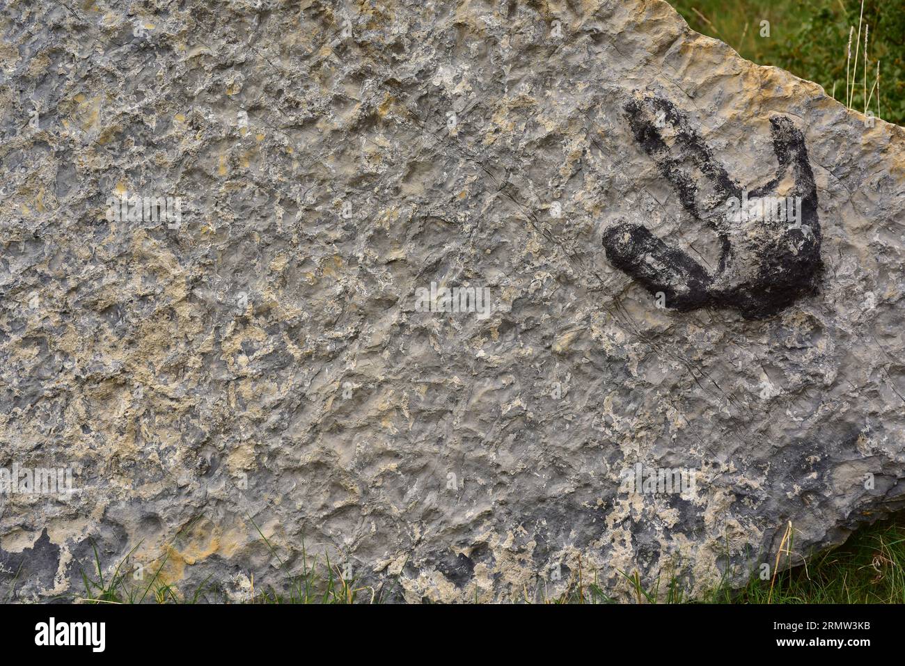 Ichnites or fossilized footprints of dinosaur and ripple marks ...