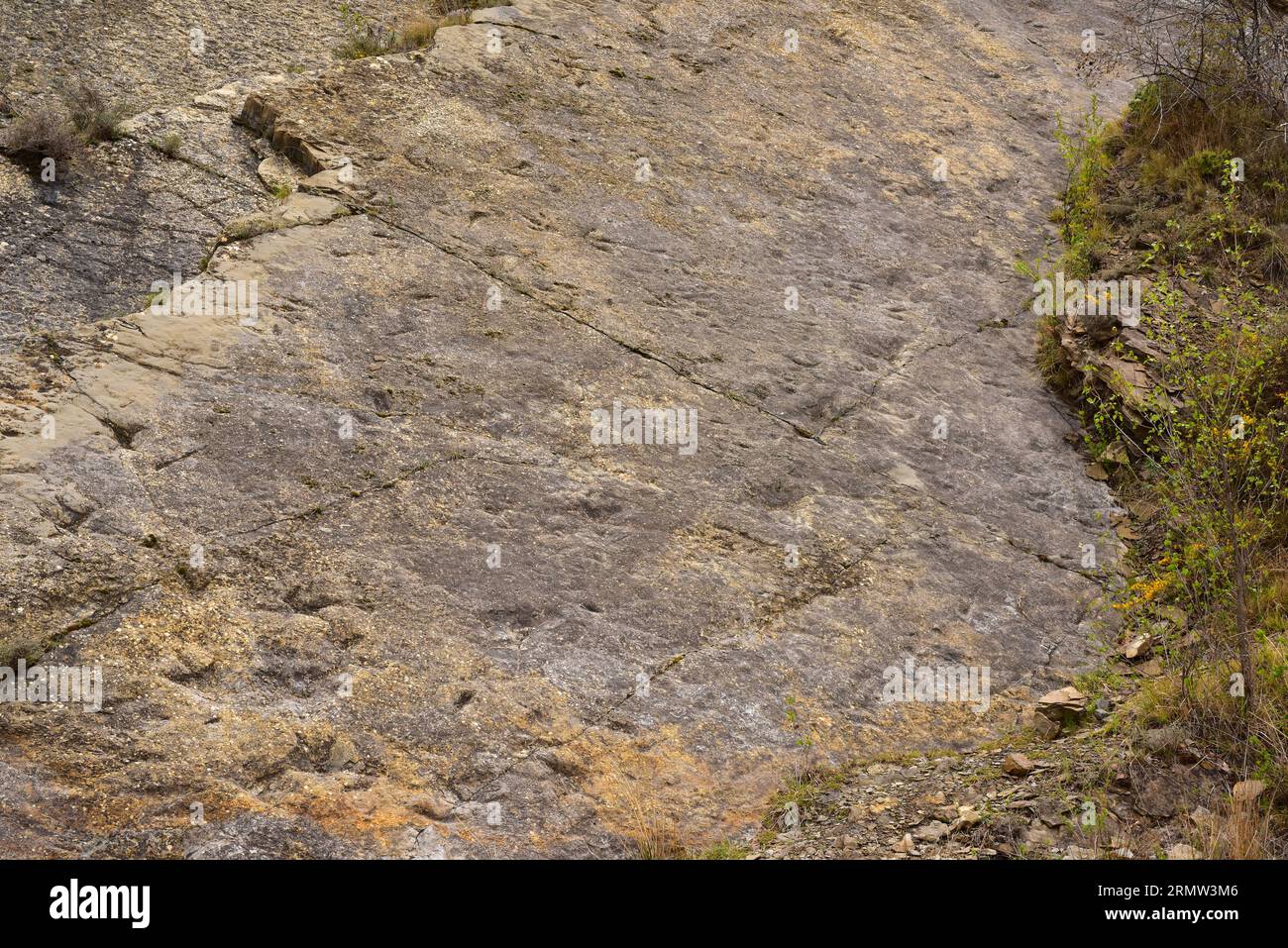 Ichnites or fossilized footprints of dinosaur. Villar-Poyales, Enciso ...