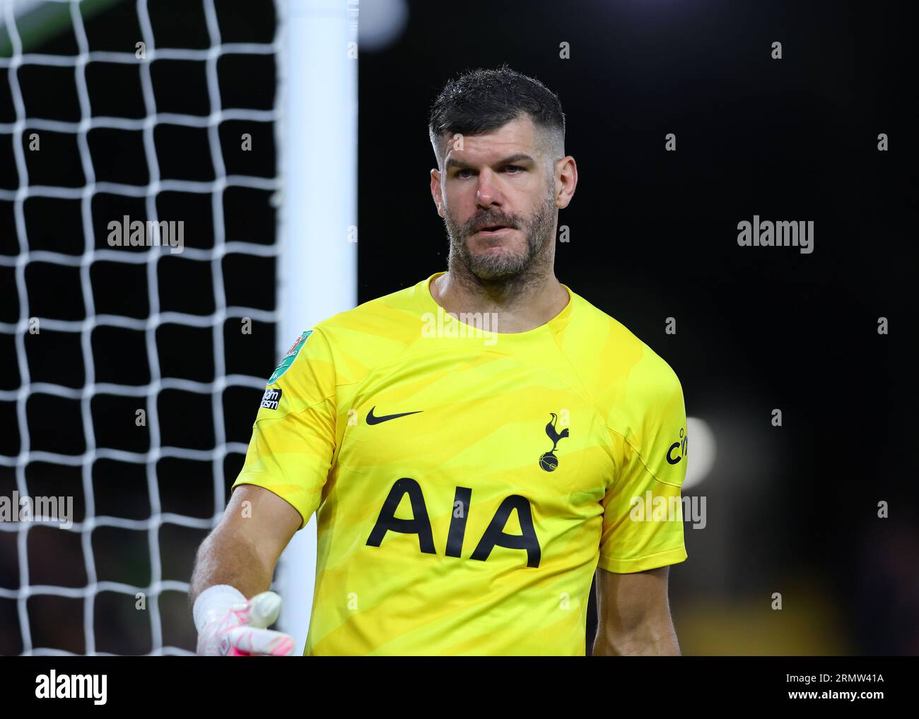 Tottenham hotspur goalkeeper hi-res stock photography and images - Alamy