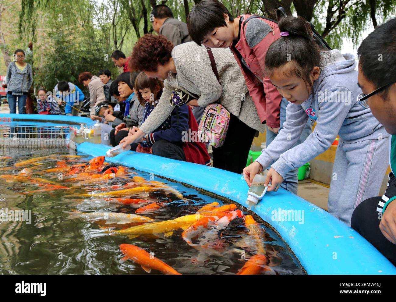 Fishswt hi-res stock photography and images - Alamy