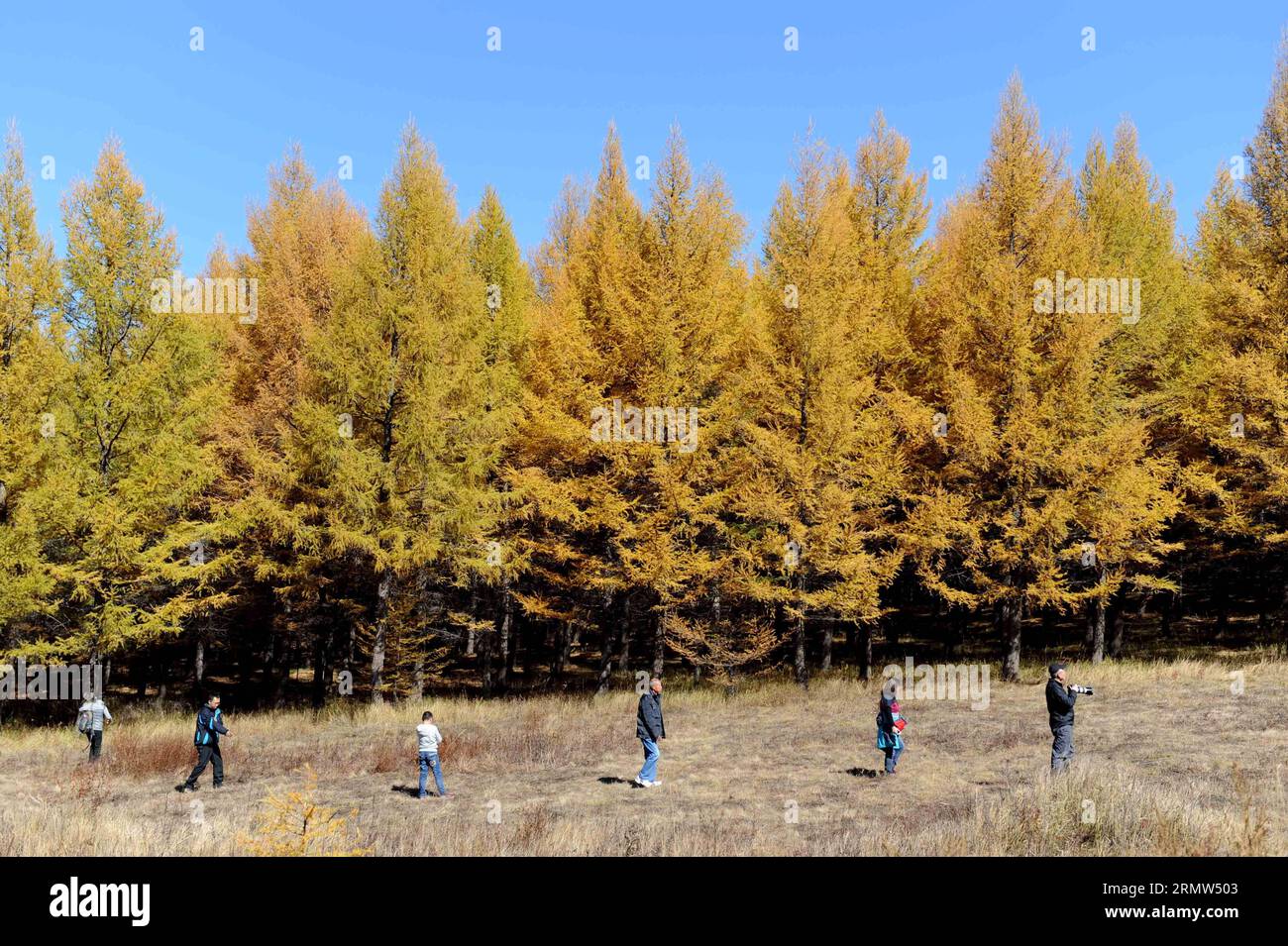 Chifeng scenery hi-res stock photography and images - Alamy