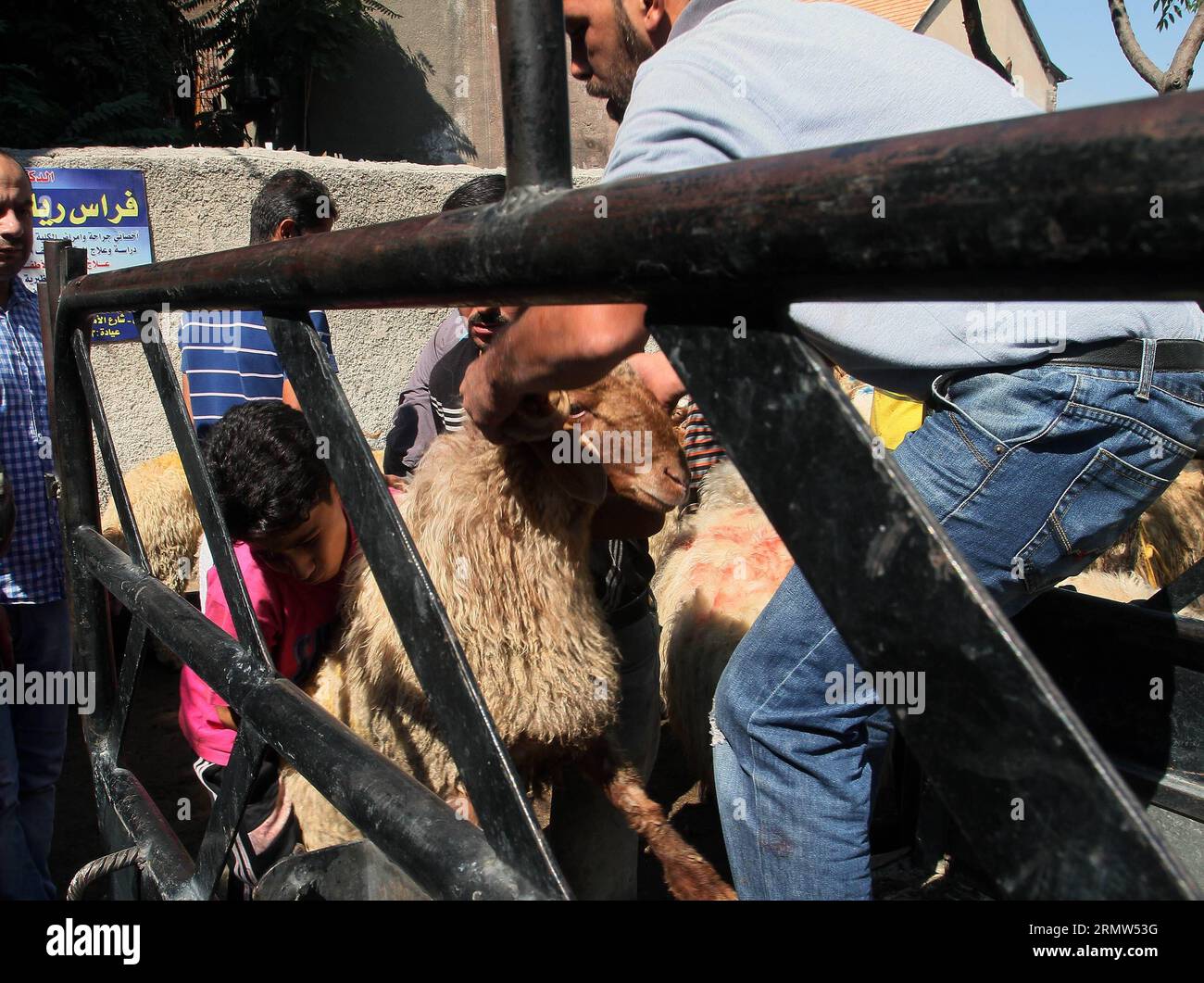 (141004) -- DAMASCUS, Oct. 4, 2014 -- Syrians buy sheep in one of ...