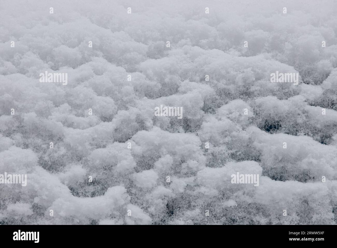 Beautiful winter background with snowy ground. Natural snow texture ...