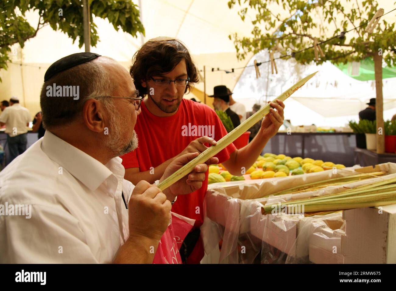 JERUSALEM, Oct. 6, 2014 -- Orthodox Jews inspect a palm frond, one of ...