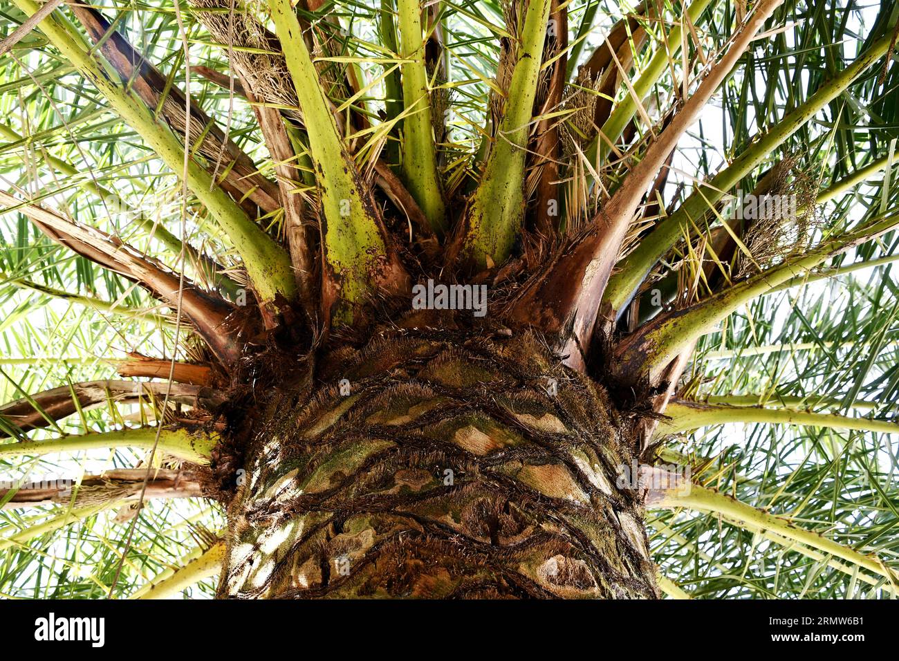 Toulon - France Stock Photo - Alamy