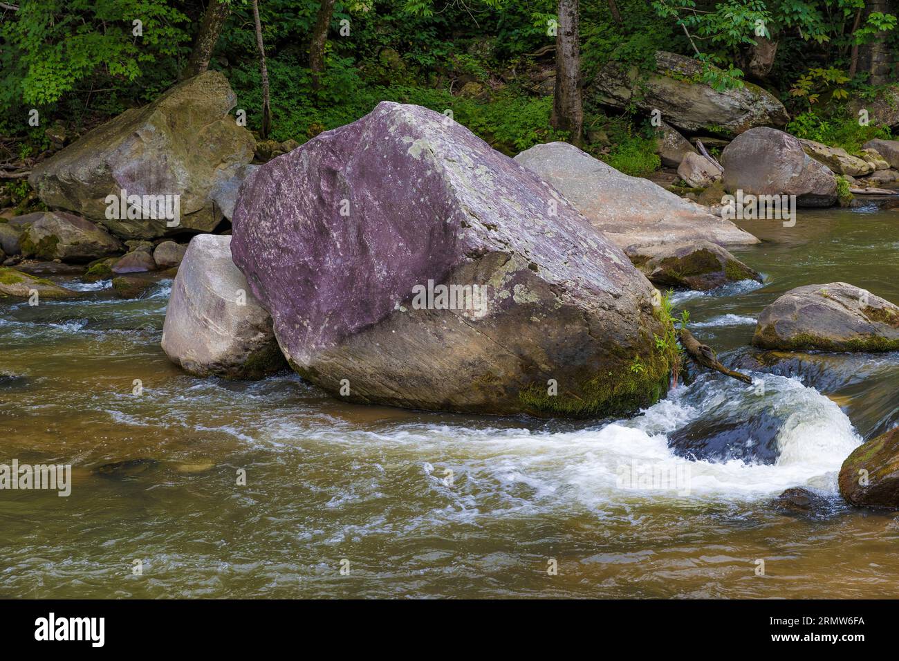 River walk along the French Broad River which locals referr to as the ...