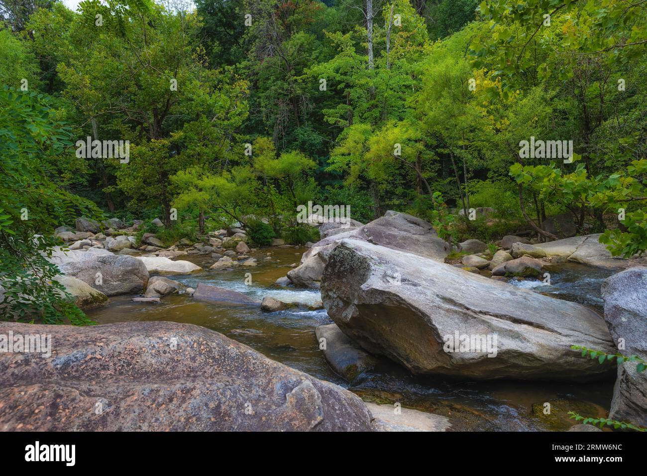 River walk along the French Broad River which locals referr to as the ...