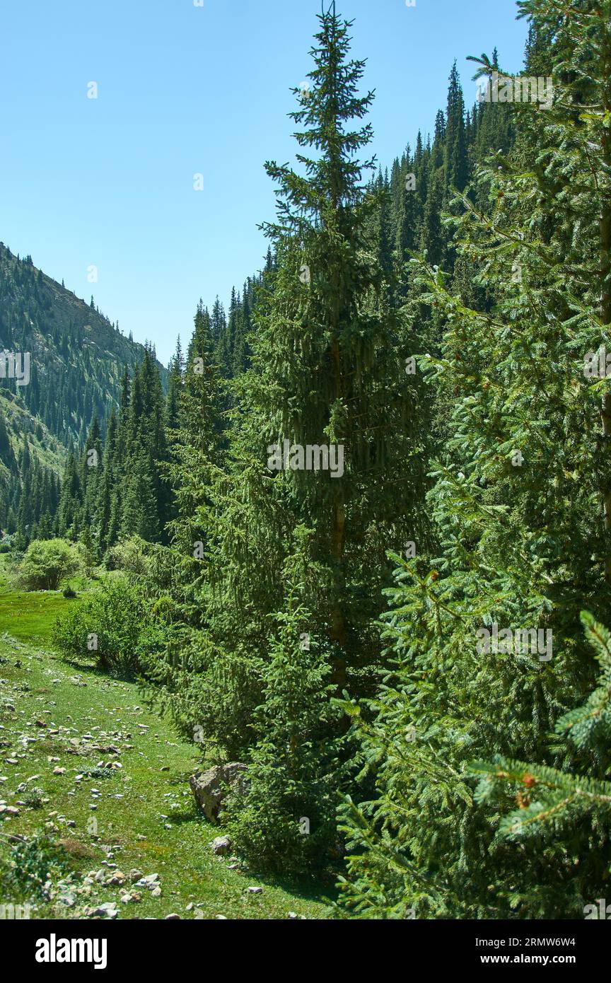 Gorge Moldo-Ashuu Rest Area , Beautiful view of the mountains ...