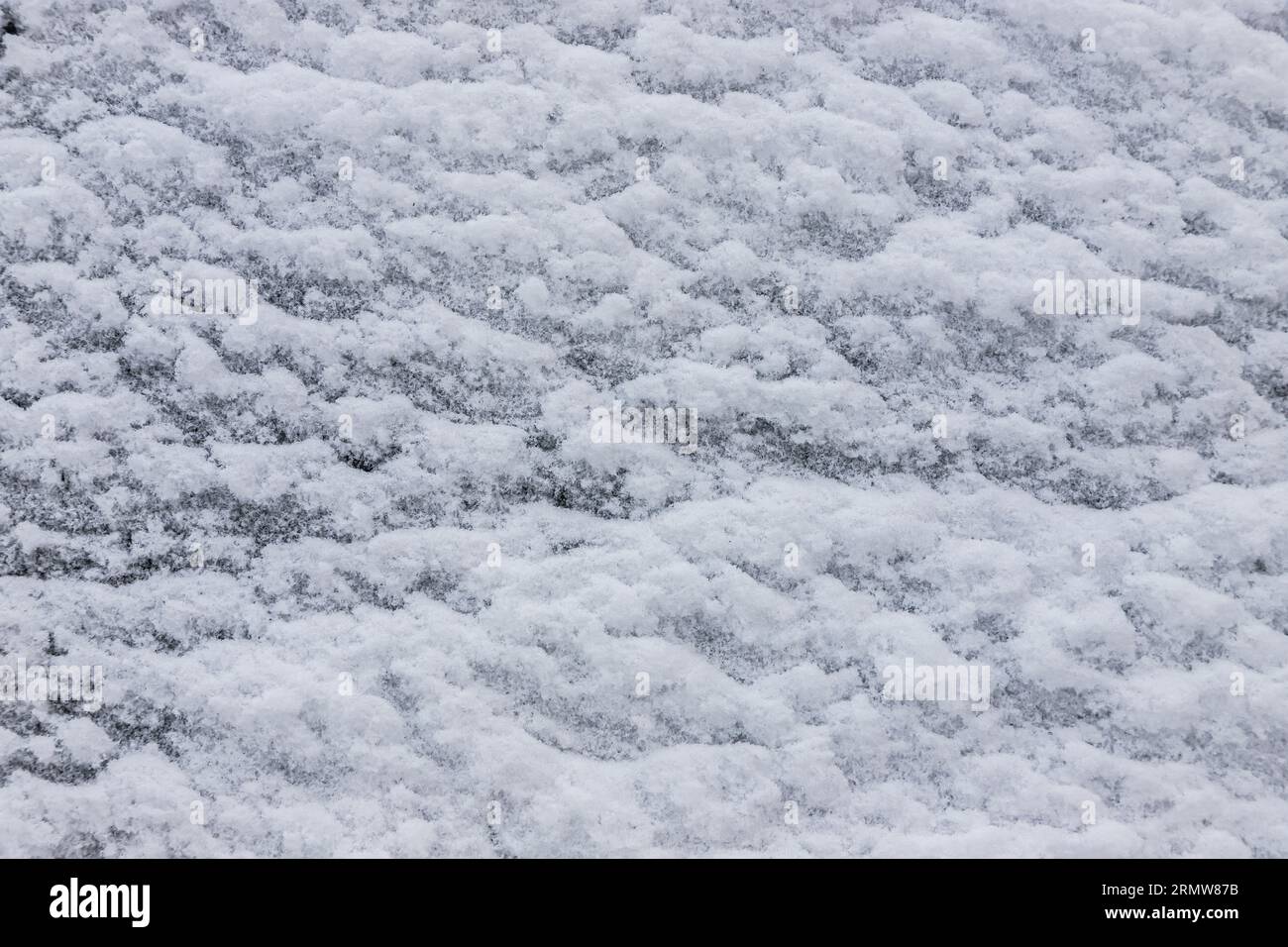 Beautiful winter background with snowy ground. Natural snow texture ...