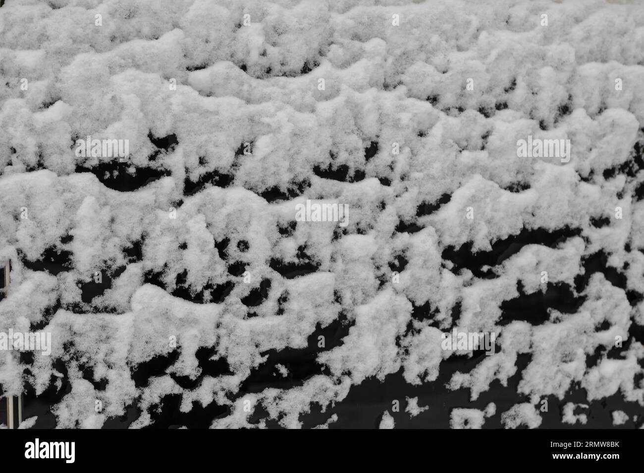 Beautiful winter background with snowy ground. Natural snow texture ...