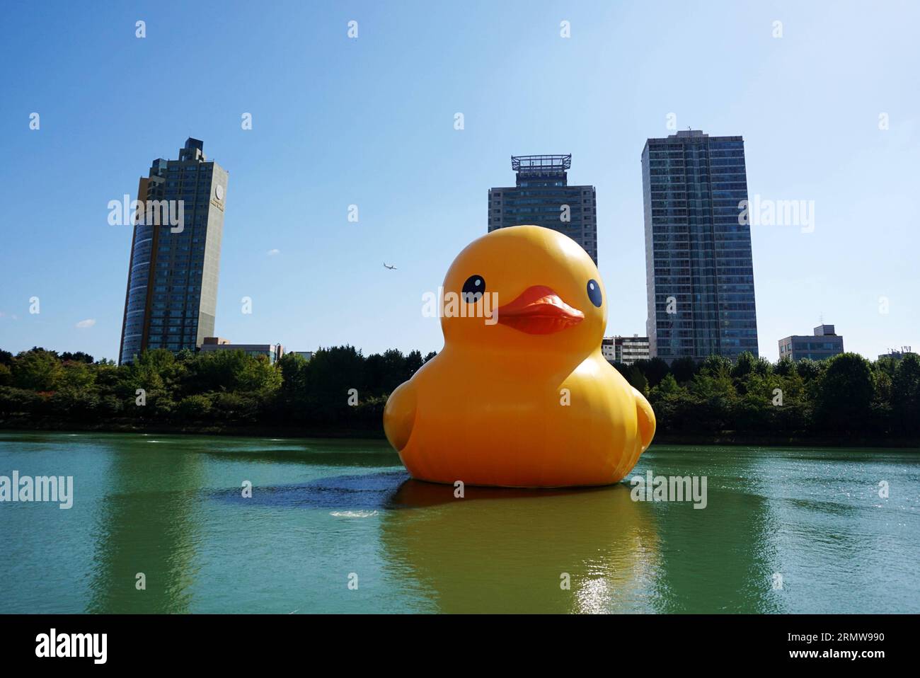 (141014) -- SEOUL, Oct. 14, 2014 -- A giant yellow rubber duck created ...